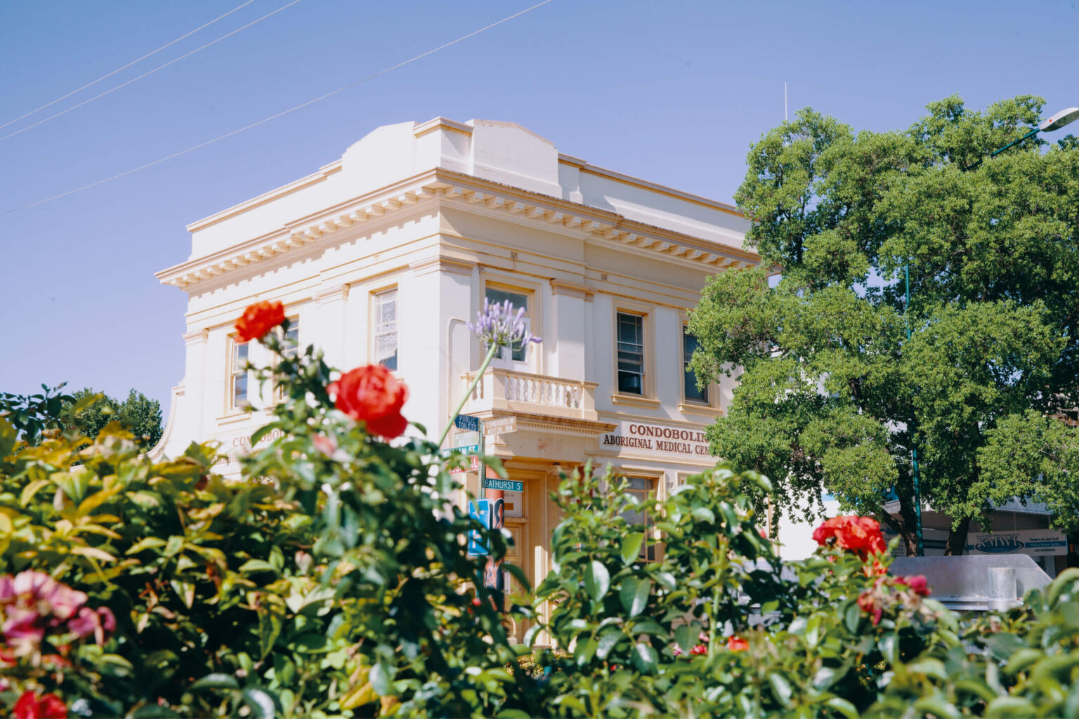 Albert - www.visitlachlanshire.com.au