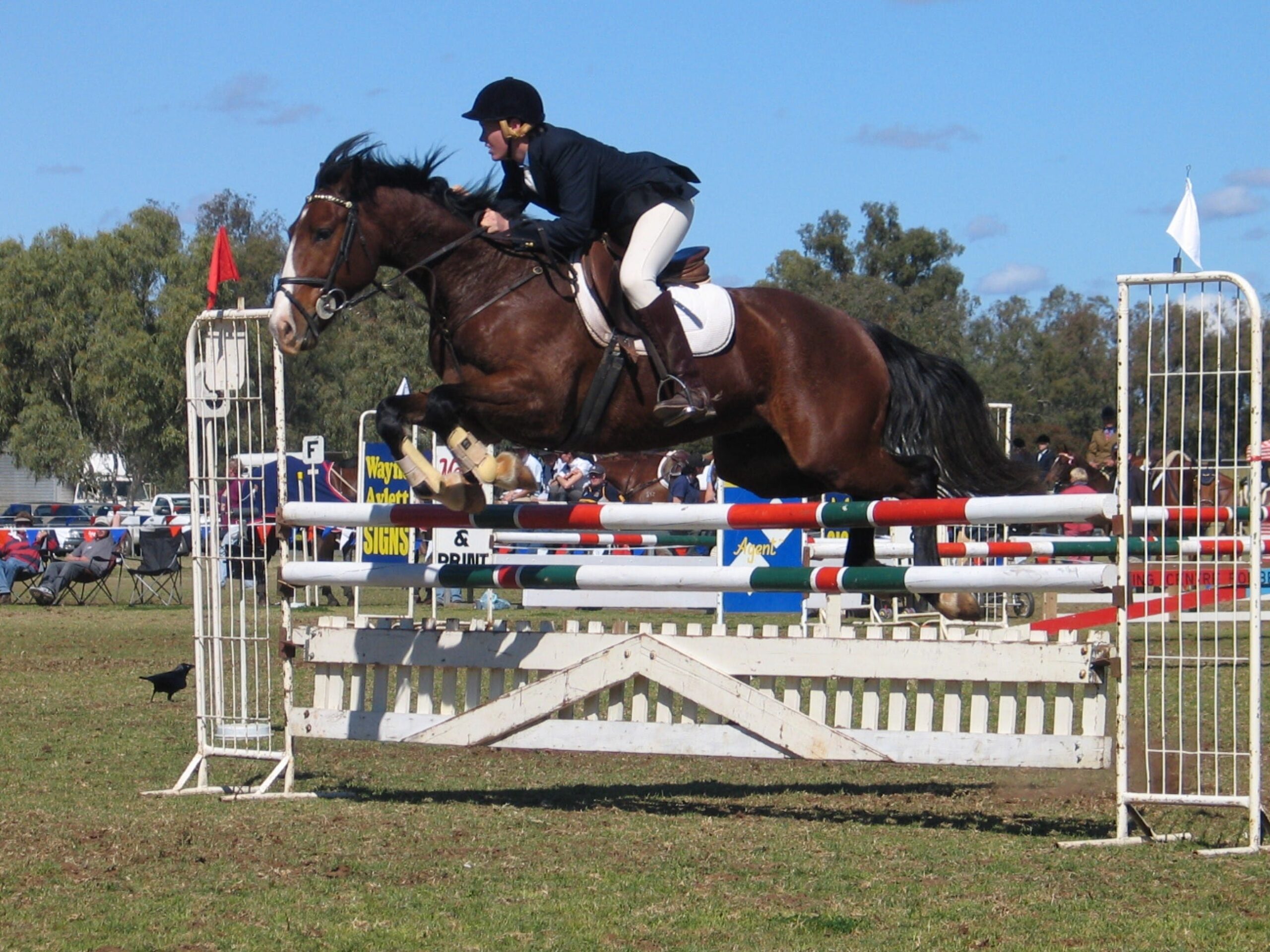 Condobolin Annual Show - www.visitlachlanshire.com.au
