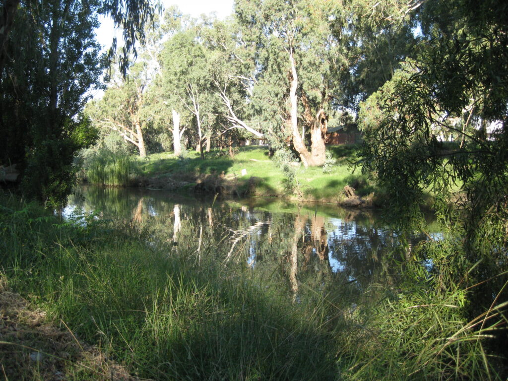 Watersports - www.visitlachlanshire.com.au