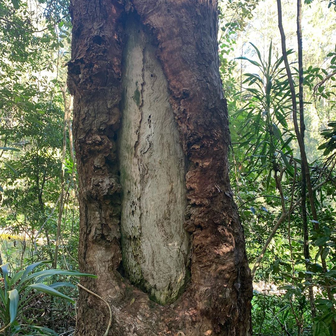 Wiradjuri Culture - www.visitlachlanshire.com.au