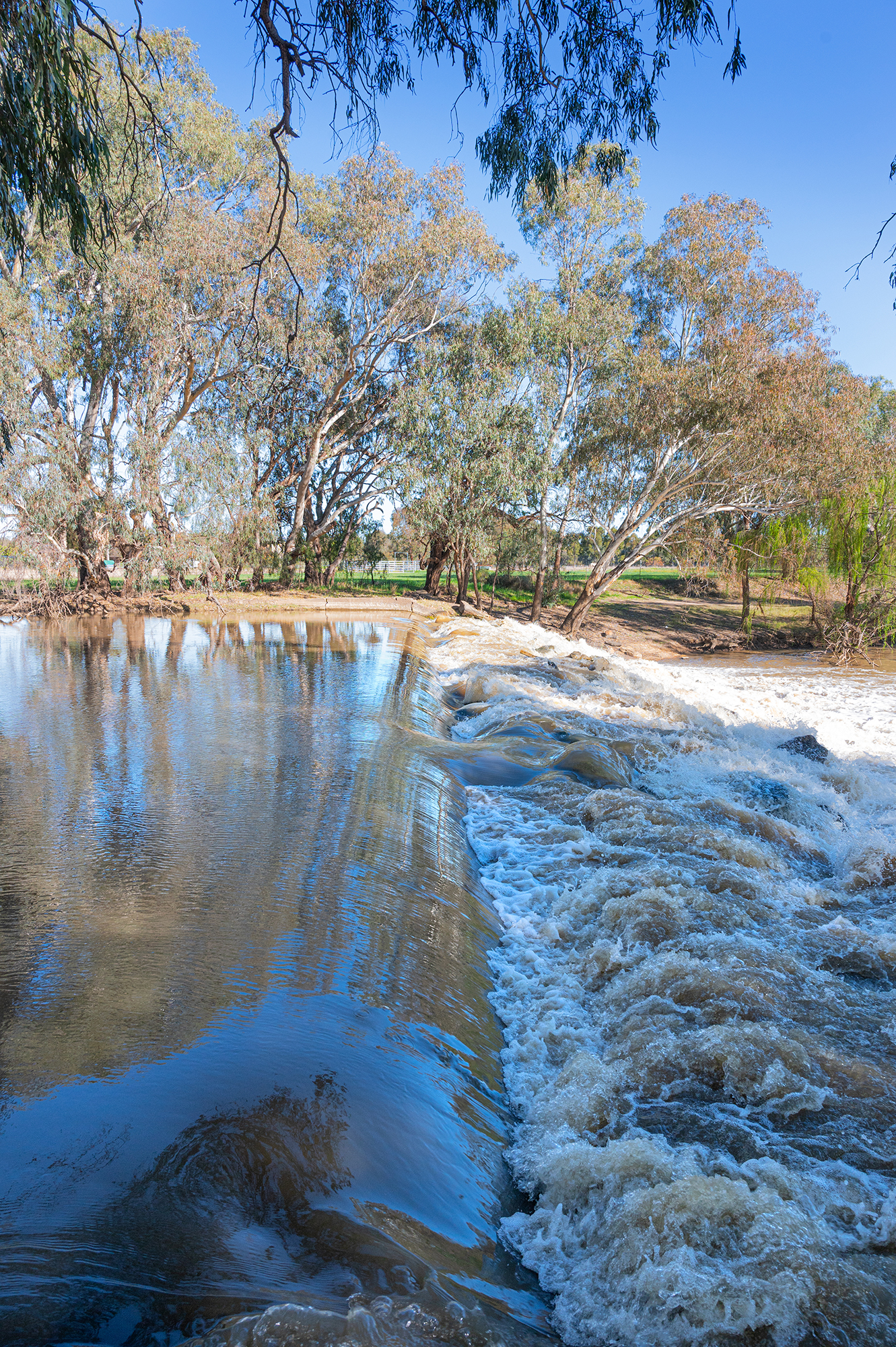 The Weirs - www.visitlachlanshire.com.au