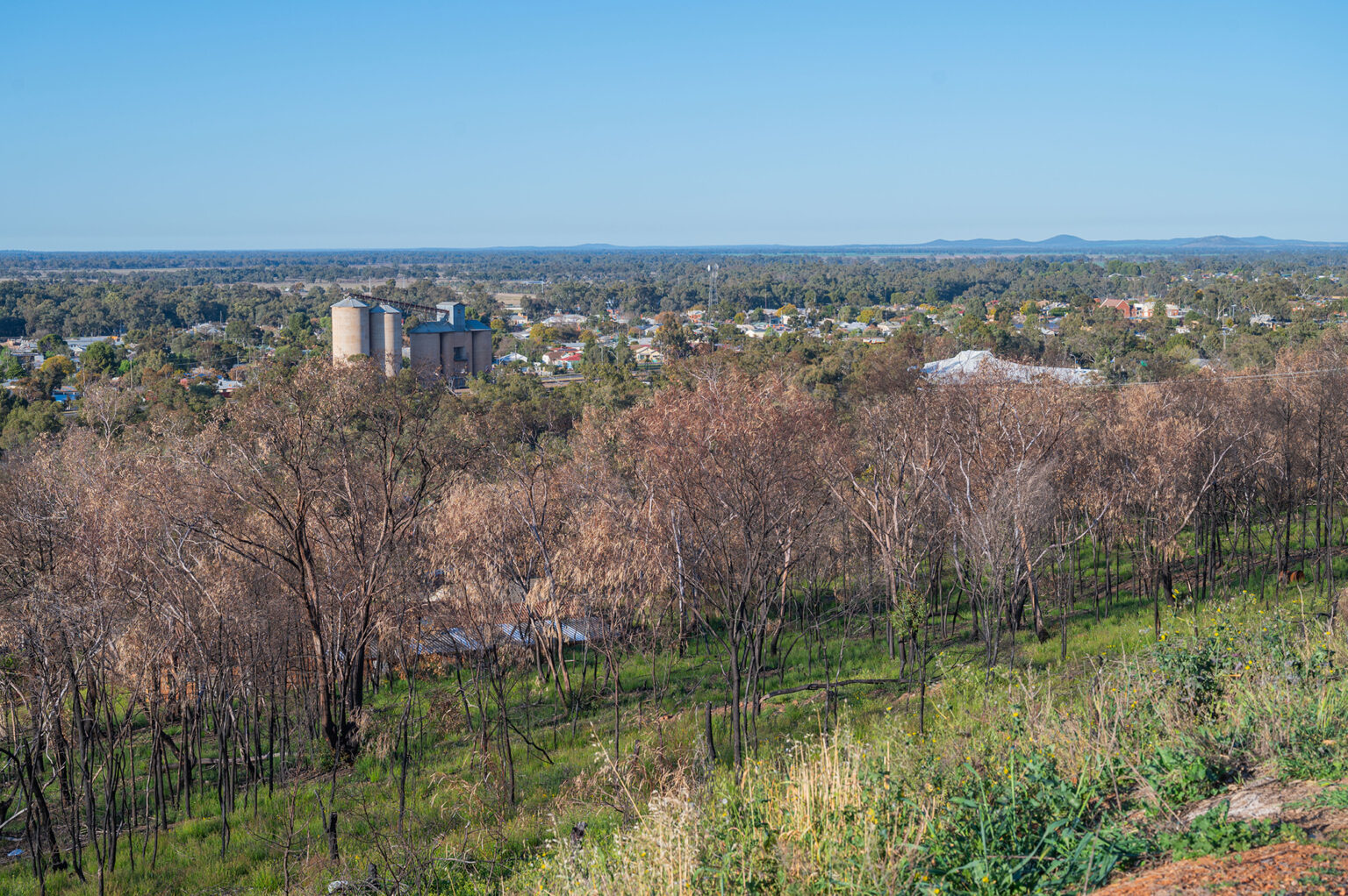 Condobolin - www.visitlachlanshire.com.au