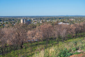 Condobolin - www.visitlachlanshire.com.au