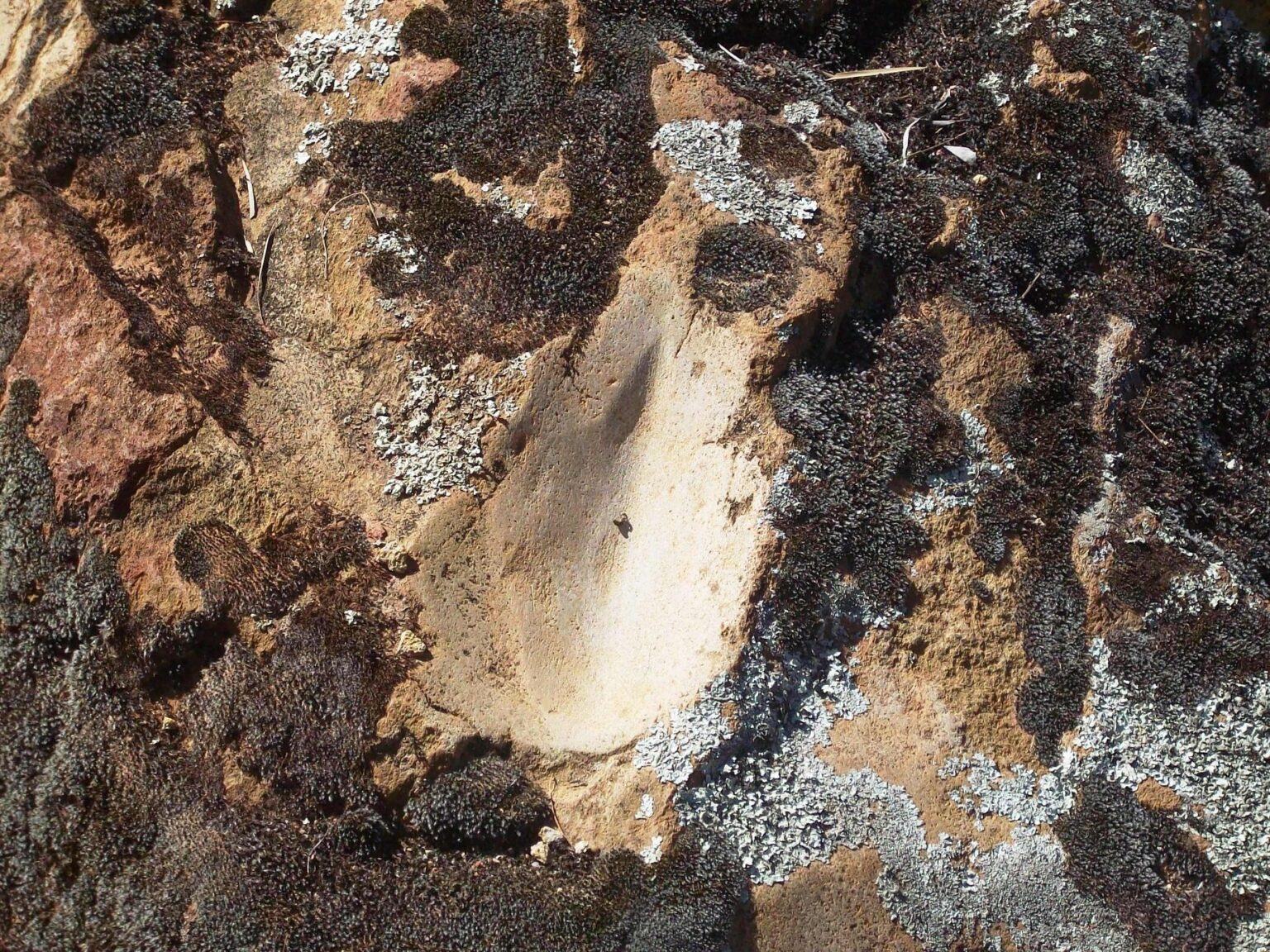 Wiradjuri Culture - www.visitlachlanshire.com.au