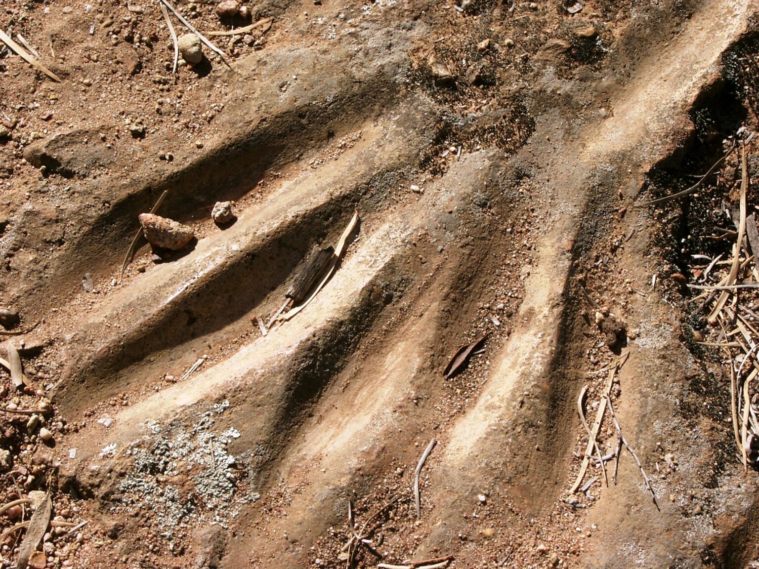 Wiradjuri Culture - www.visitlachlanshire.com.au